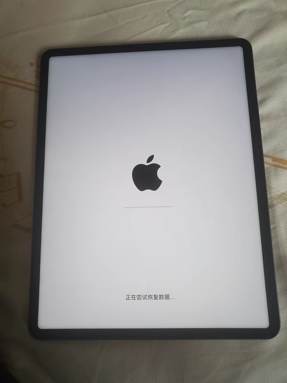 iPad OS16.1.1更新失败后iPad … - Apple 社区